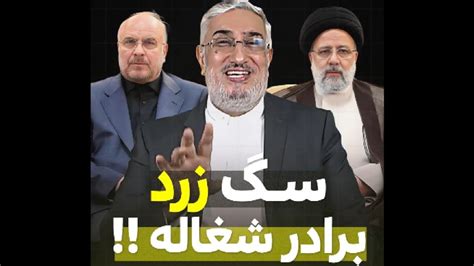 سگ زرد برادر شغاله Youtube