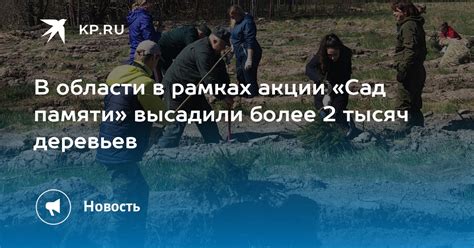 В области в рамках акции «Сад памяти высадили более 2 тысяч деревьев