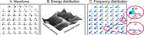 Color Online Visualization Of One Echolocation Click Acquired At Download Scientific