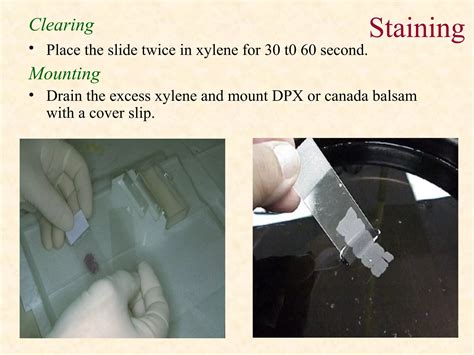 Tissue Processing In Histopathology Ppt