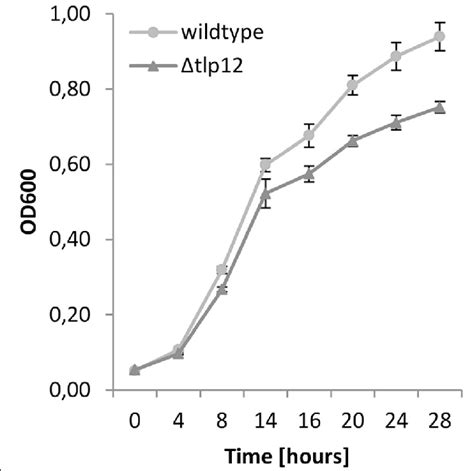Growth Curve The Growth Experiments Were Performed In Biological