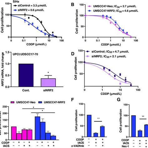 Nrf2 Status Mediates Cisplatin Sensitivity In Cooperation With Oxphos
