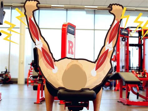 What Happens To Your Body When You Start Exercising Regularly 15