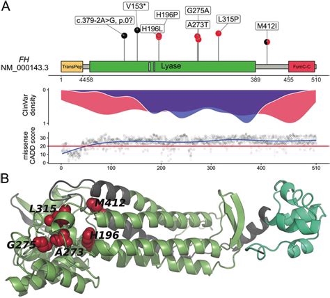 Somatic Snv Indel Spectrum Variant Properties A Upper Panel Schematic Download Scientific