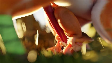 Rule 34 1futa 1futa1girl 1futanari 1girl 1girls Aiushtha The