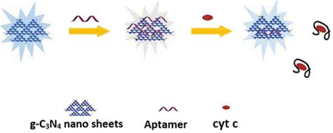 Schematic Illustration Of Aptasensor For The Fluorescence Turn On
