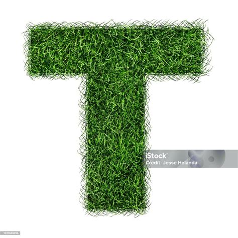 잔디 알파벳의 편지입니다 잔디 문자 T 흰색 배경에 격리 녹색 잔디 질감의 기호입니다 에코 심볼 컬렉션 3d 일러스트레이션 3차원 형태에 대한 스톡 사진 및 기타 이미지