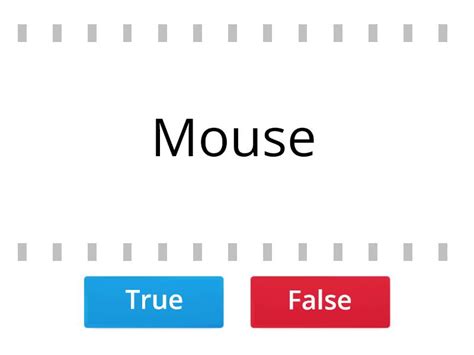 Componentele Hardware Ale Unui Calculator True Or False