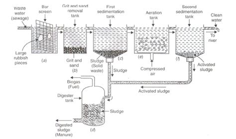 Schematic Diagram Of Las Cruces Wastewater Treatment Plant L