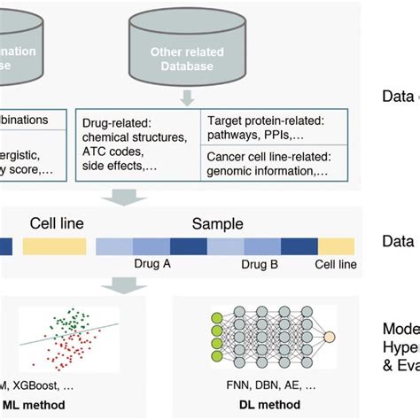 Workflow Of Ml Methods Used In Drug Combination Prediction Download Scientific Diagram