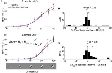 Contrast Sensitivity Is Unaltered By Feedback Inactivation A Download Scientific Diagram