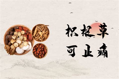 枳根皮的功效与作用及禁忌有哪些 食材知识 轻壹