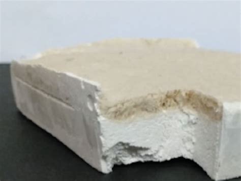 Multifunctional Biodegradable Aerogels As An Alternative To Plastic