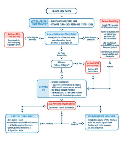 Pediatric Bls One Rescuer Algorithm