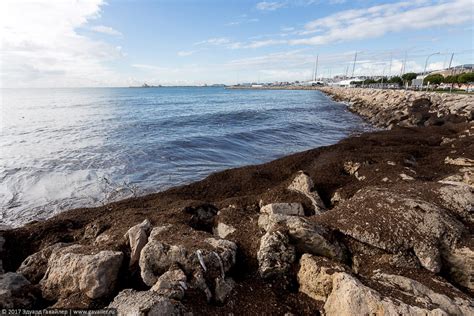 Пальма де Мальорка или просто Пальма фотоблог о путешествиях