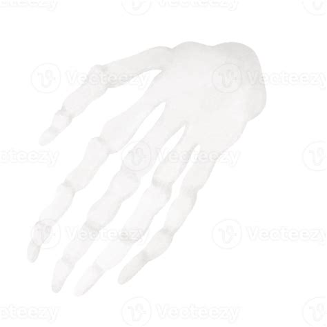Halloween Bone Cartoon 28535651 Png
