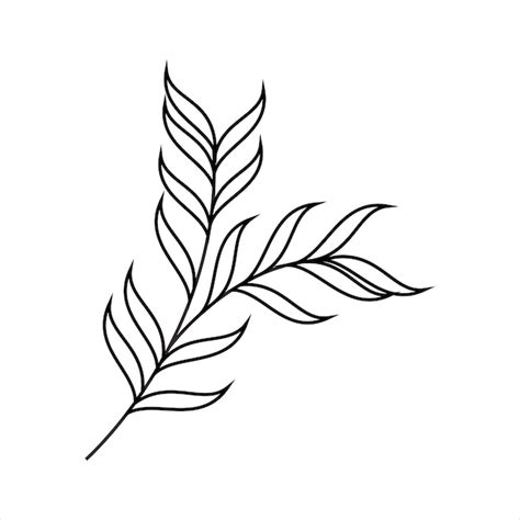 Willow Leaf Outline Vectors And Illustrations For Free Download Freepik