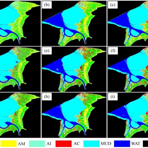 Mangrove Species Classification Using Svm Ac Random Forest Df
