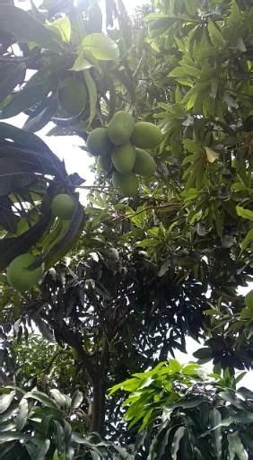 Lalasea Hà Tiên Ảnh Tự Chụp Hà Tiên Hình ảnh