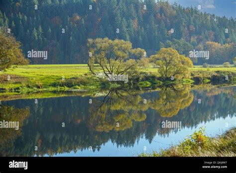 A Beautiful Landscape View Of The River Bank Trees With Visible Reflection On The Water Surface