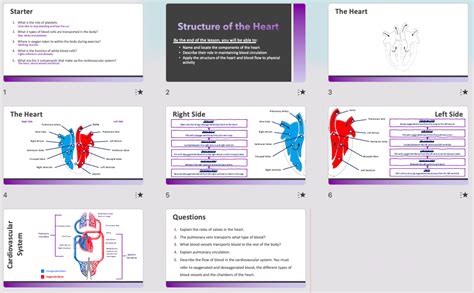 GCSE PE The Heart Teaching Resources