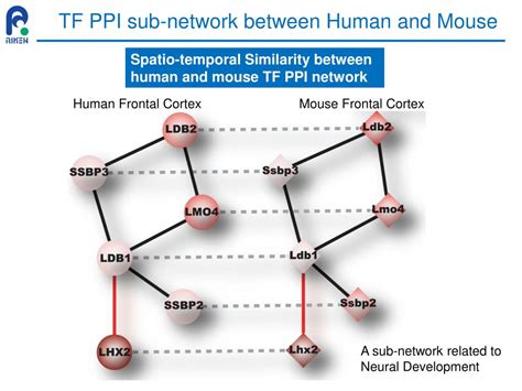 Ppt Next Generation Sequencers And Progress On Omics Research Powerpoint Presentation Id 7018525