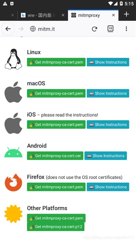 Mitmproxy在手机端的配置问题mitmit Csdn博客