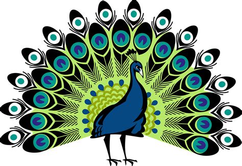 Explore 147 Free Peacock Feather Illustrations Download Now Pixabay