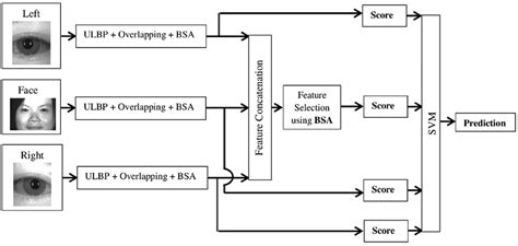 Effect Of Face And Ocular Multimodal Biometric Systems On Gender Classification Eskandari