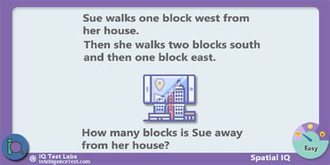 Iq Test Labs Spatial Orientation