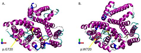 Illustration Of The Wild Type Pg720 Protein Model A And The Mutant