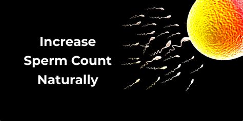 Increase Sperm Count Naturally