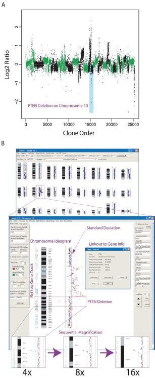 Visualization Of Array Cgh Data A A Graphical Representation Of Array