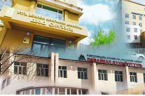 22 их дээд сургуулийн үйл ажиллагаанд шалгалт хийнэ