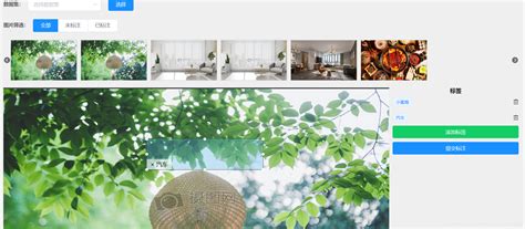 Vue Picture Bd Marker 简单的数据标注 Csdn博客