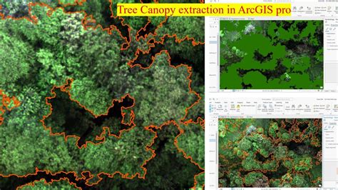 Tree Canopy Extraction In Arcgis Pro Youtube