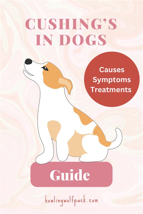 Cushings Disease In Dogs