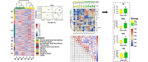 文献解读 转录组 翻译组 广靶代谢组梦幻联动揭秘茶树基因翻译图谱和代谢特征 知乎