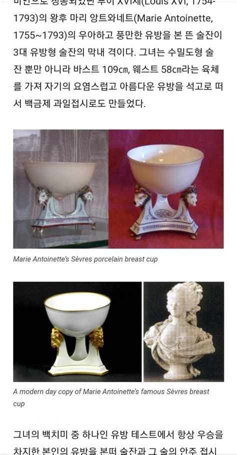 ㅎㅂ 프랑스의 왕비 마리 앙투아네트의 유방 포텐 터짐 최신순 에펨코리아