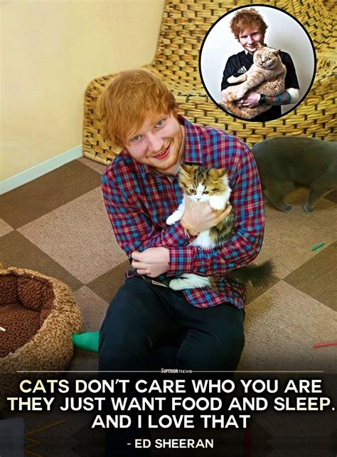 Superior Ed Sheeran Has Never Hidden His Love For Cats 🥰 — In Fact