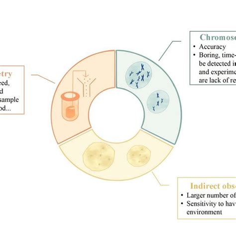 Polyploidy Detection Methods Three Polyploid Detection Methods Are Download Scientific Diagram