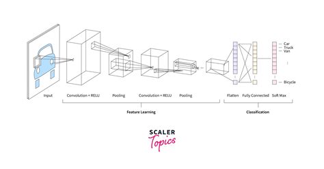 Convolutional Neural Networks With Pytorch Scaler Topics