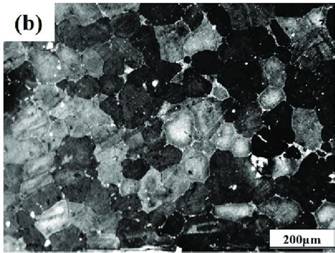Comparison Of Microstructural Observations Of Constrained Download