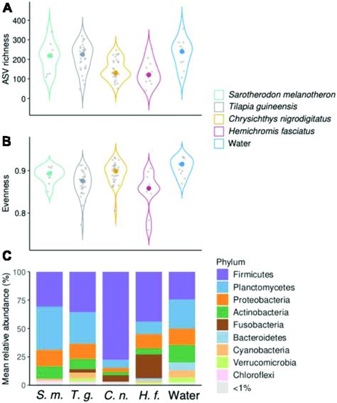A B Amplicon Sequence Variants Asv Richness And Evenness Indices Of Download Scientific