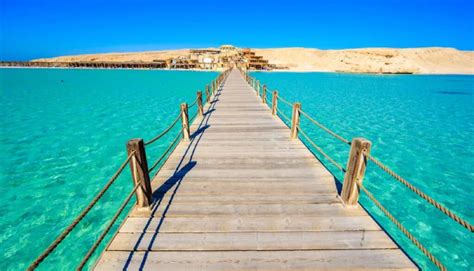 Hurghada Beaches Reopen Amid Shark Attack Amwal Al Ghad