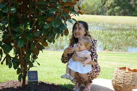 Tree Burial Australia Pre Plan Your Legacy Mornington Green Legacy Gardens