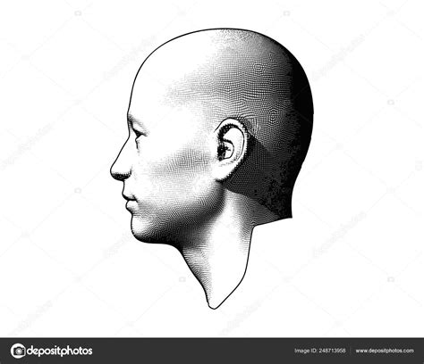 How To Draw A Human Head Side View