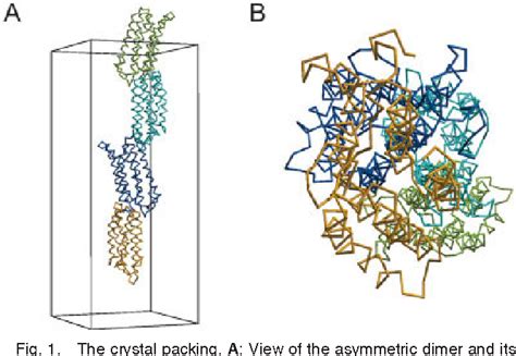 Figure 1 From Structural Evidence For Variable Oligomerization Of The N Terminal Domain Of