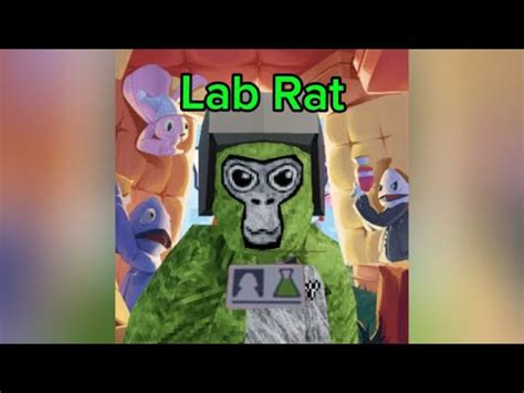 I Got Lab Rat In Yeeps Hide And Seek YouTube