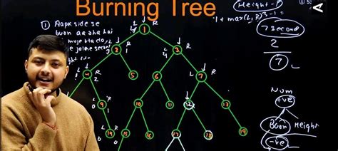 Dsachallenge Datastructuresalgorithms Codingjourney Coderarmy